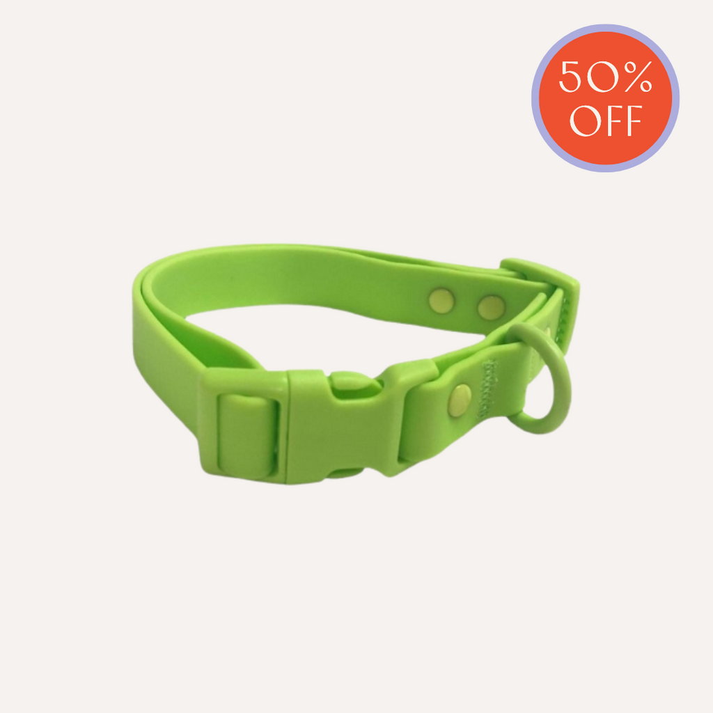 Surf's Up Waterproof Dog Collar - Biothane PVC Waterproof