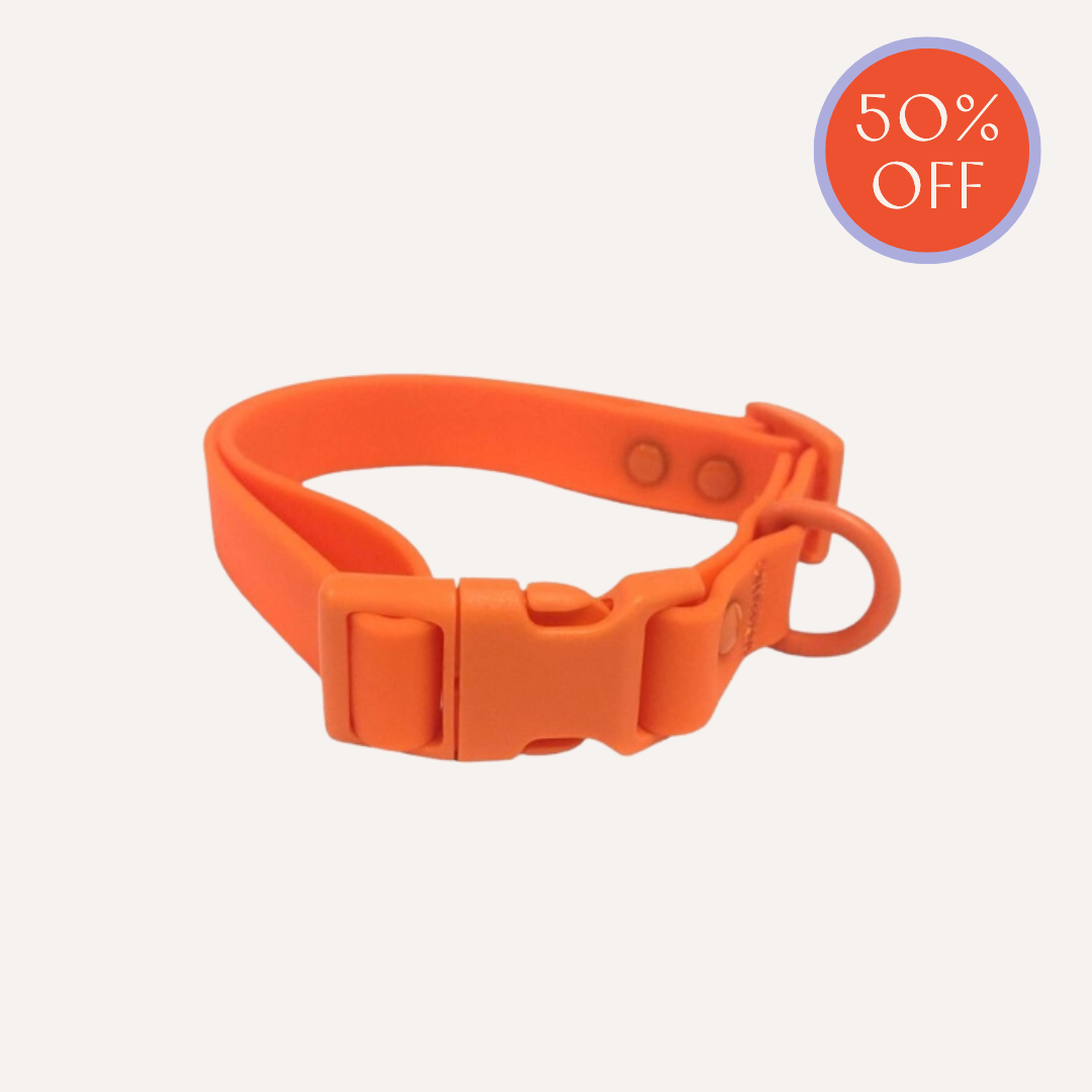 Surf's Up Waterproof Dog Collar - Biothane PVC Waterproof