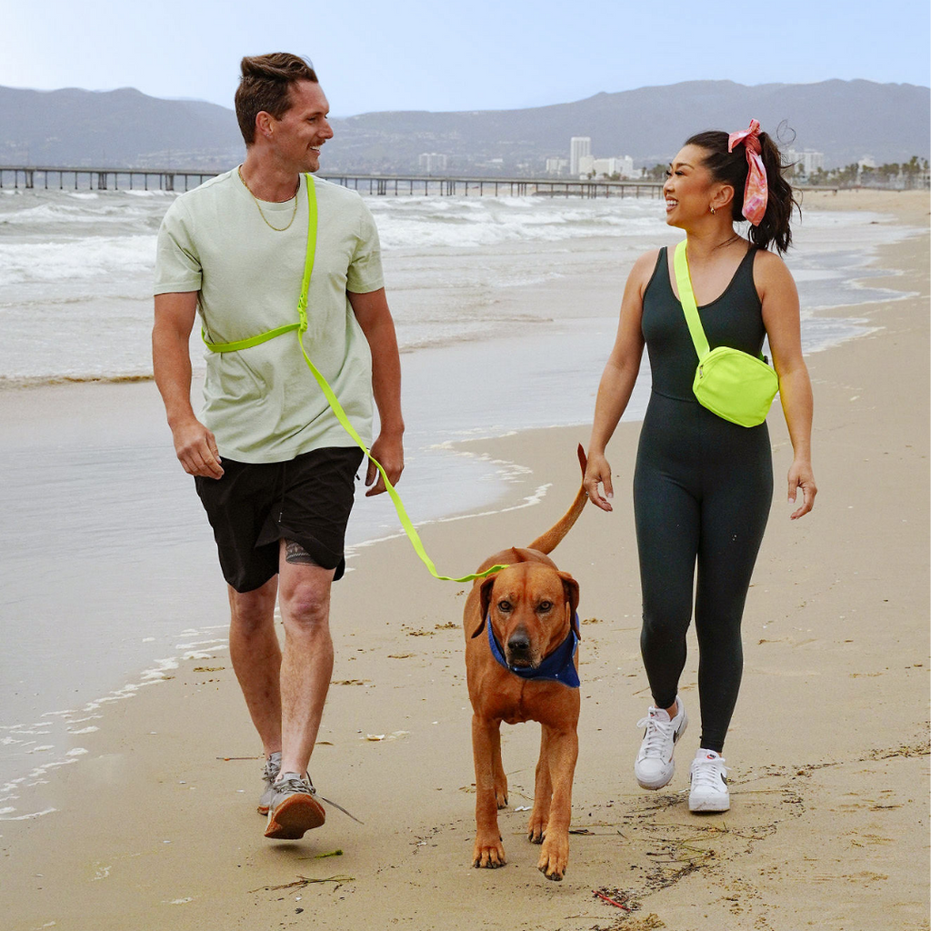 Surf's Up Waterproof Dog Collar - Biothane PVC Waterproof