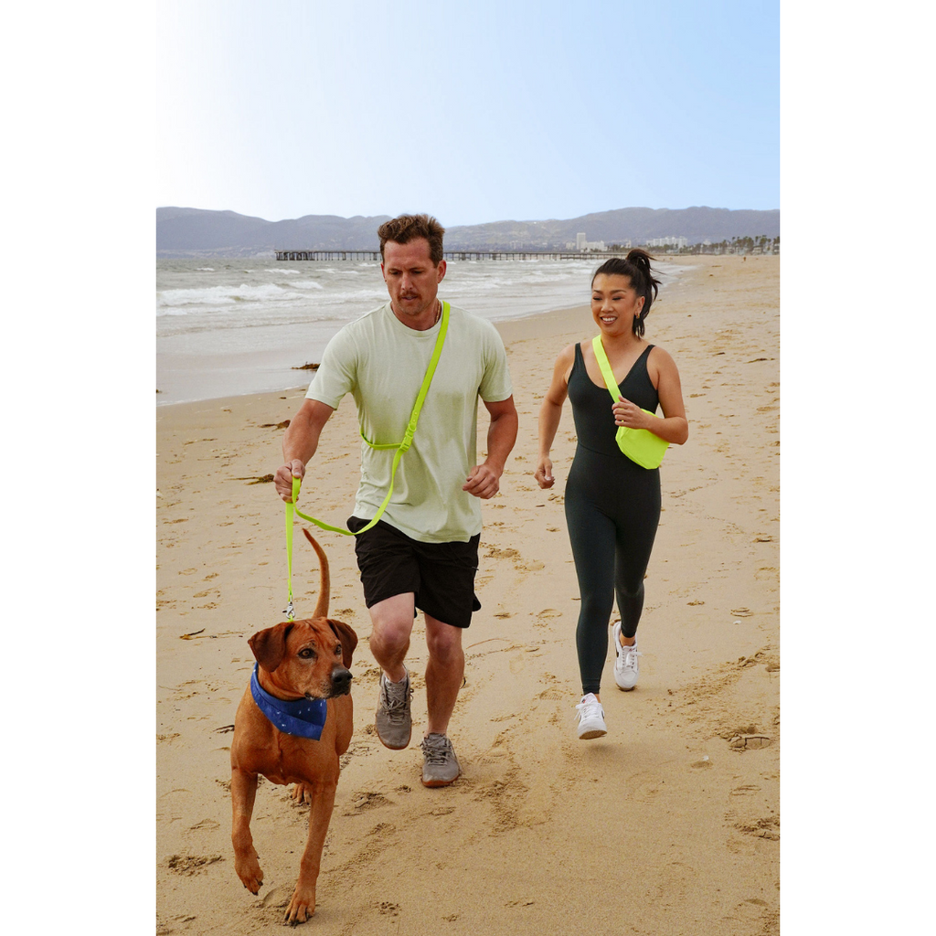 Surf's Up Waterproof Dog Collar - Biothane PVC Adjustable