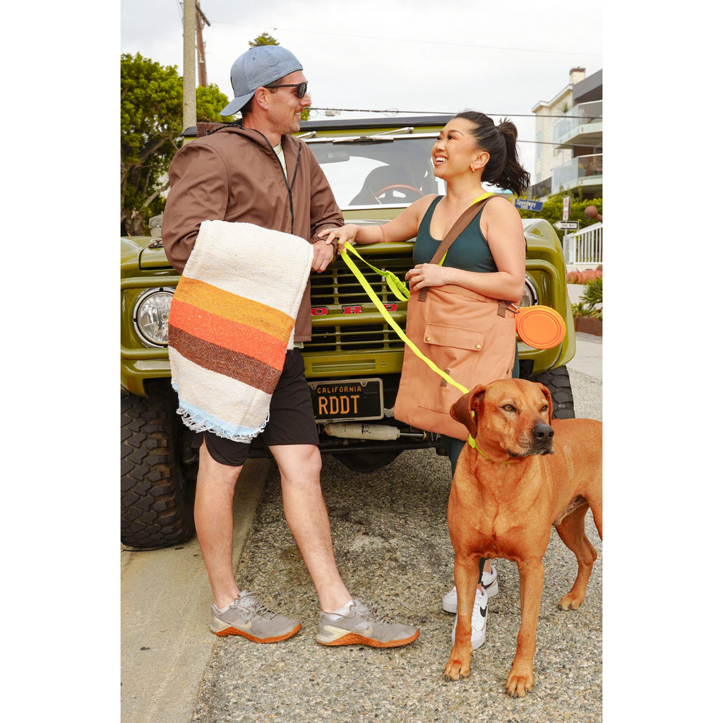 Surf's Up Waterproof Dog Collar - Biothane PVC Adjustable