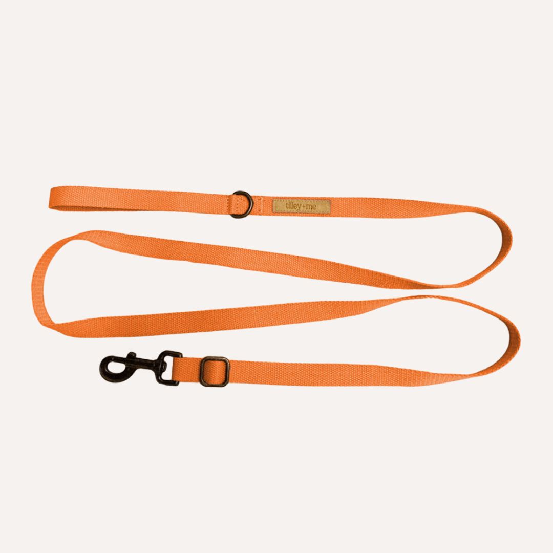 Tilley + Me Hemp Cotton Dog Leash - Durable, Sustainable, Adjustable,