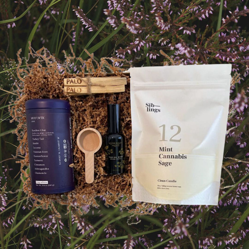 silicone-lid-and-can-spoon-reusable-set-for-feeding-dogs-and-cats-pets ...