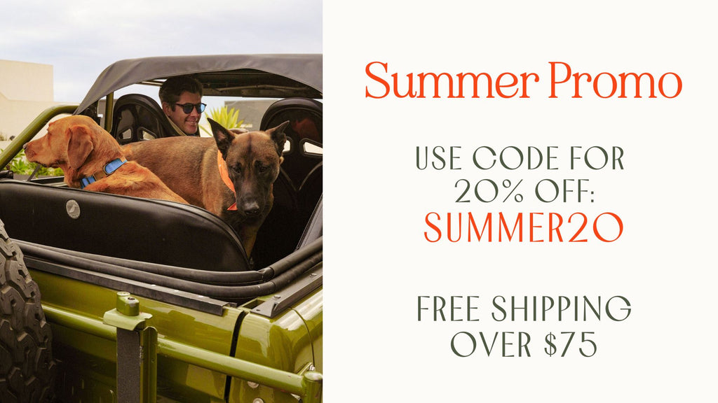 Surf's Up Waterproof Dog Collar - Biothane PVC Adjustable